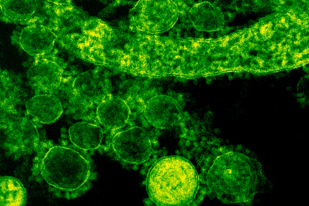 Ear infections and Hearing aids - Hear4u